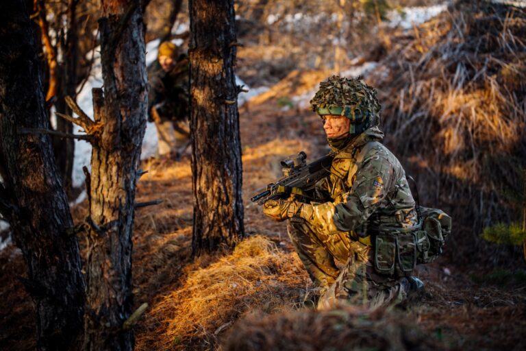 Defence Technology & Solutions | Roke